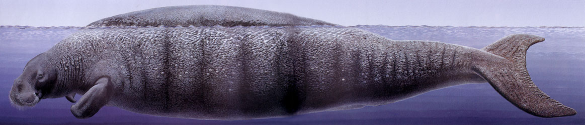 Top 5 Fascinating Extinct Creatures from History