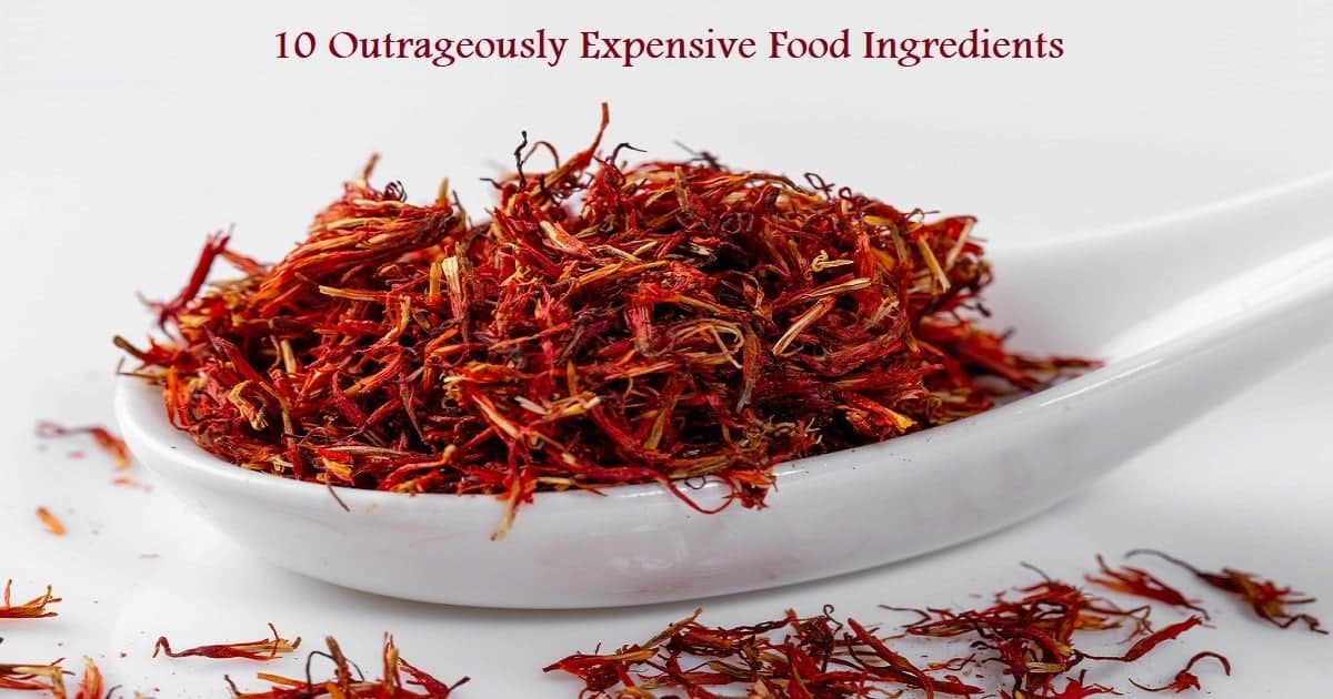 Top Ten Outrageously Expensive Food Ingredients
